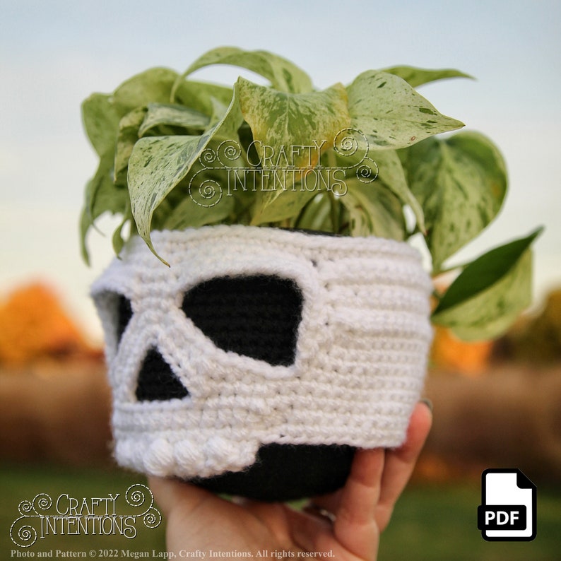 Hanging Planter Cozy Skulls Crochet Pattern by Crafty Intentions ...