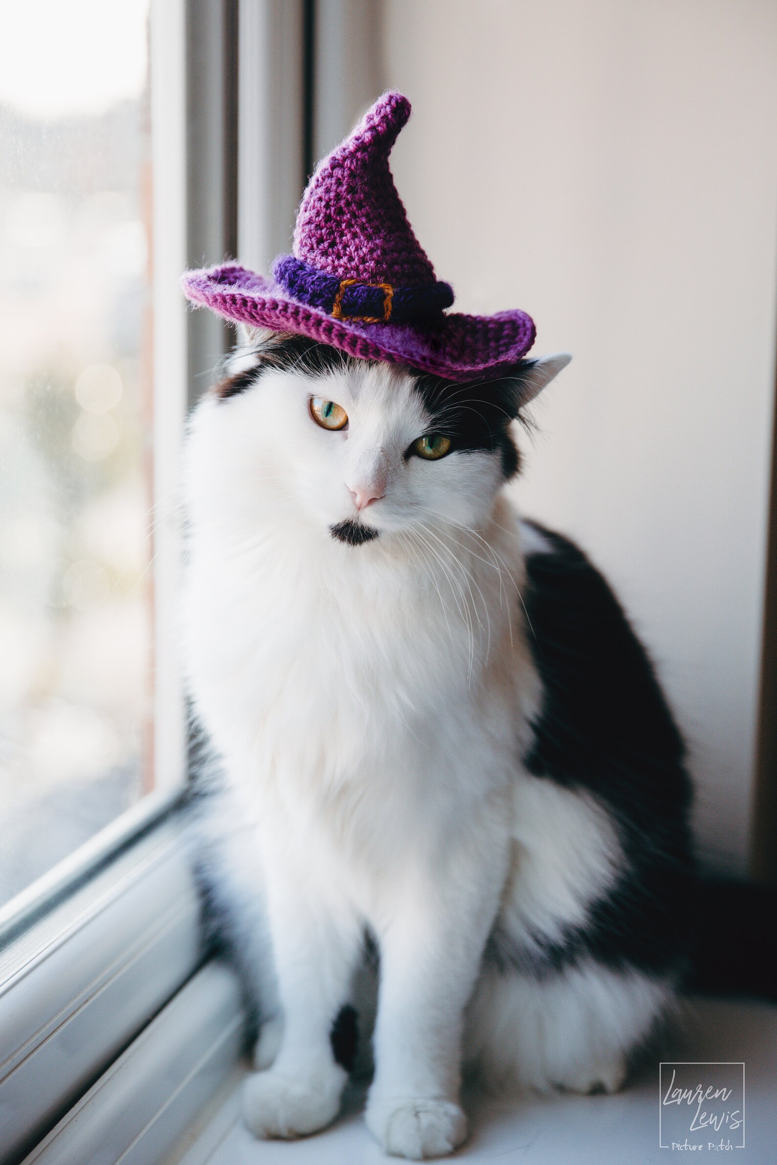Wizard Kitten Amigurumi Crochet Pattern DIGITAL PDF by Crafty ...