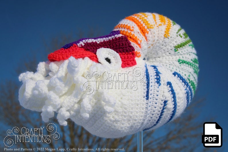 Nautilus Crochet Amigurumi Pattern DIGITAL PDF by Crafty Intentions - Etsy