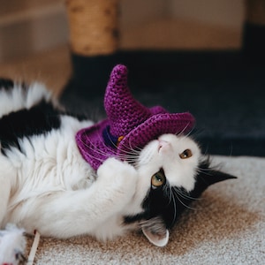 Wizard Kitten Amigurumi Crochet Pattern DIGITAL PDF by Crafty ...