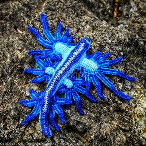 Nudibranchs Sea Slugs Set 1 Crochet Pattern by Crafty Intentions ...