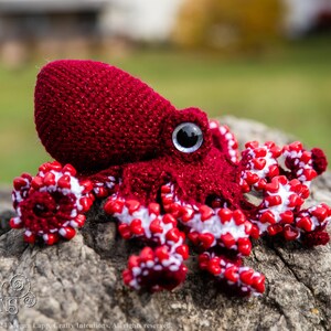 Medium Realistic Octopus Crochet Pattern by Crafty Intentions ...