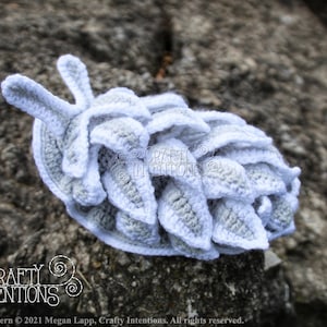 Nudibranchs Sea Slugs Set 1 Crochet Pattern by Crafty Intentions ...