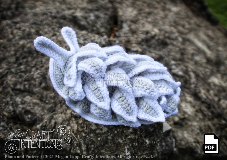 Nudibranchs Sea Slugs Set 1 Crochet Pattern by Crafty - Etsy