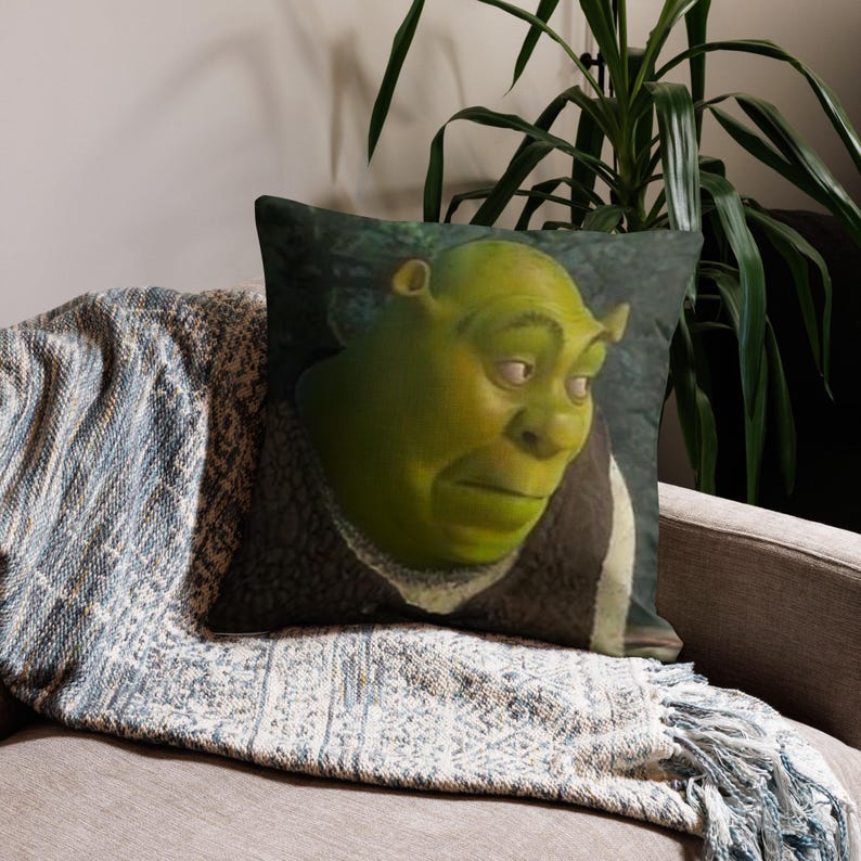 Shrek Meme Funny Pillow, Funny Joke, Prank, Gift, Present, Funny Home ...