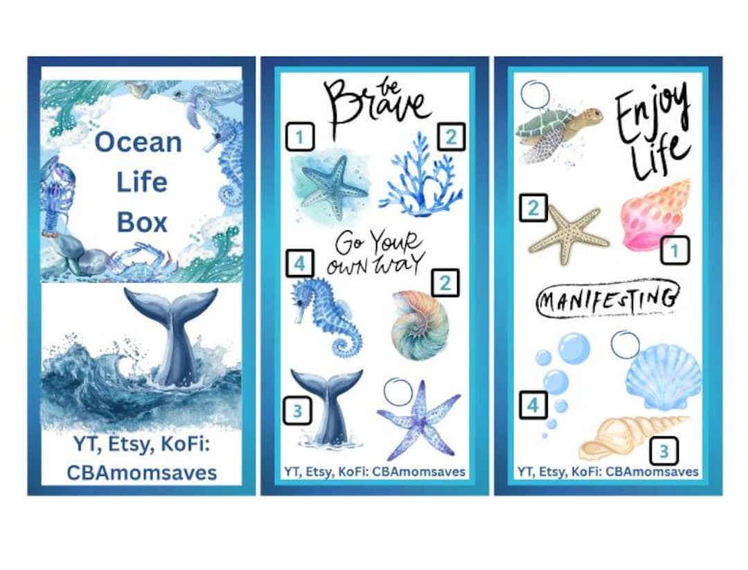 Ocean Box Challenge - Etsy