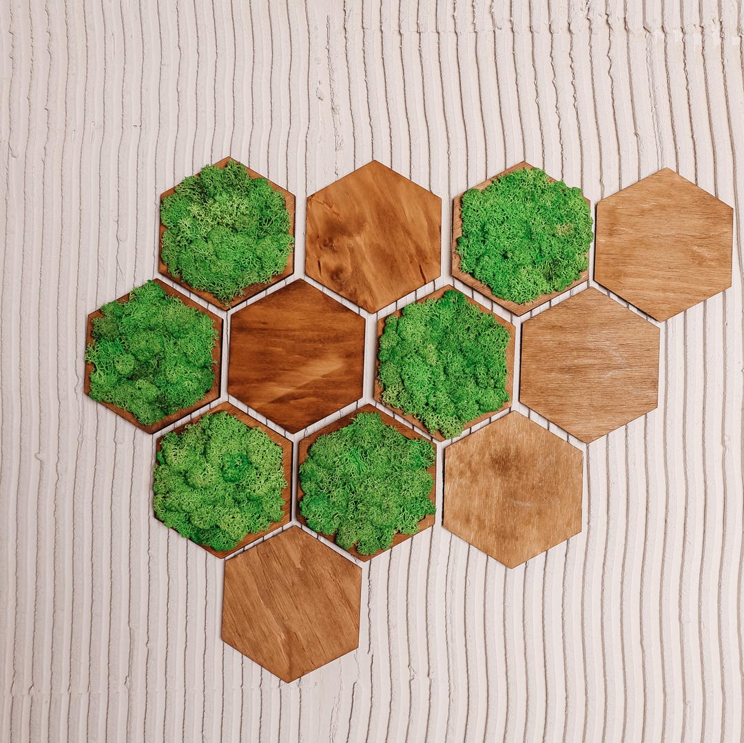 Moss Honeycomb Decor, Hexagon Wall Art, Moss Wall Tiles Panels, Hexagon ...