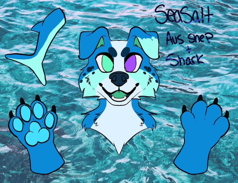 Seasalt- the Shark Australian Shepherd Premade - Etsy