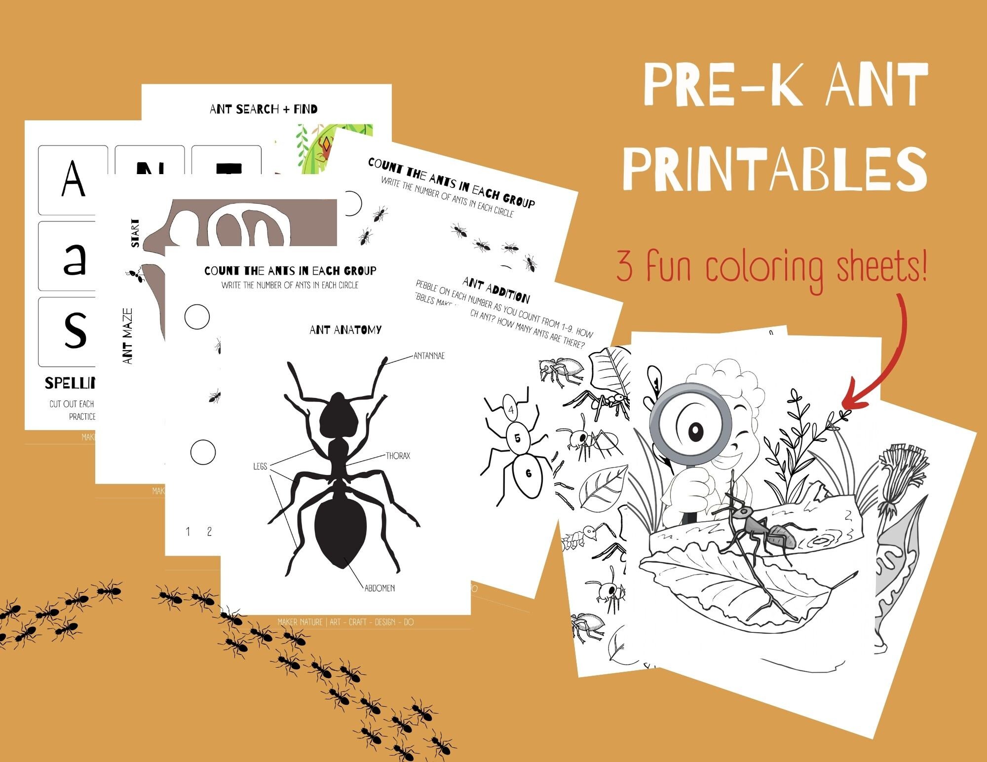 Ant Printables - Ant Themed Coloring Sheets and Activities for Kids - Etsy