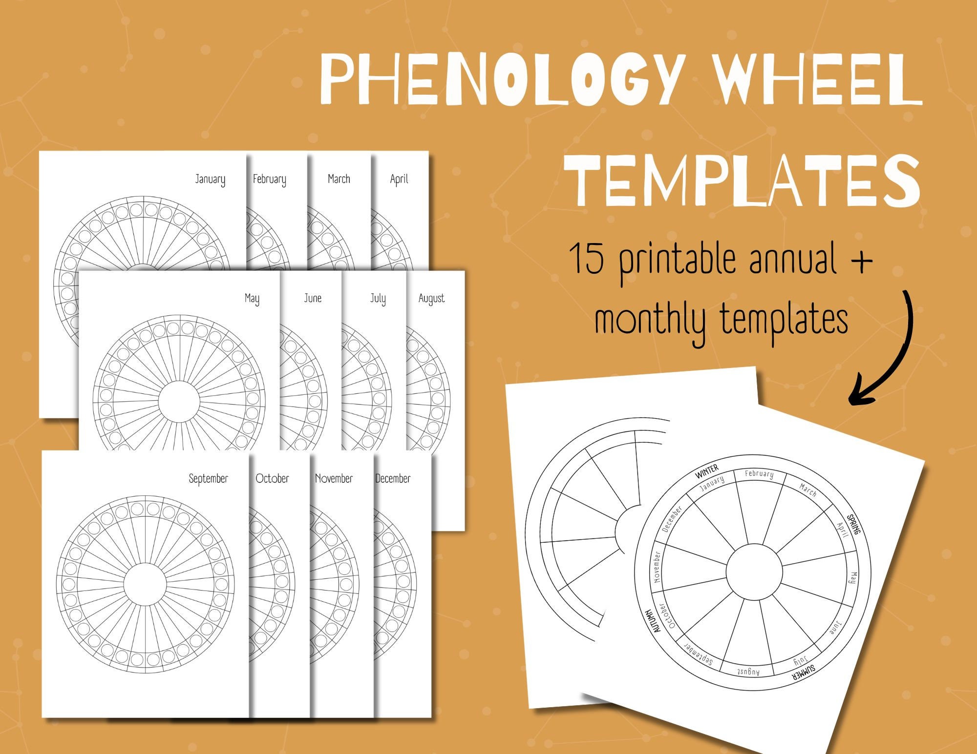 Blank Phenology Wheel Templates - Etsy