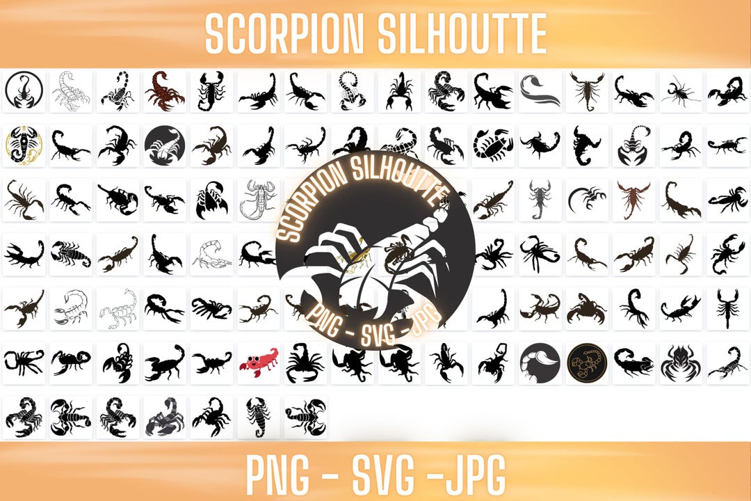 Scorpion PNG SVG JPG Digital Download, Insect Clipart Bundle, Bug ...