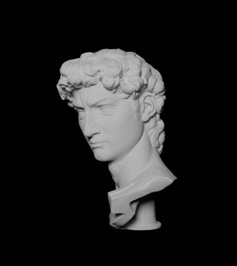 Bust of Michelangelo's David, Decorative Masterwork, Classic Sculpture ...