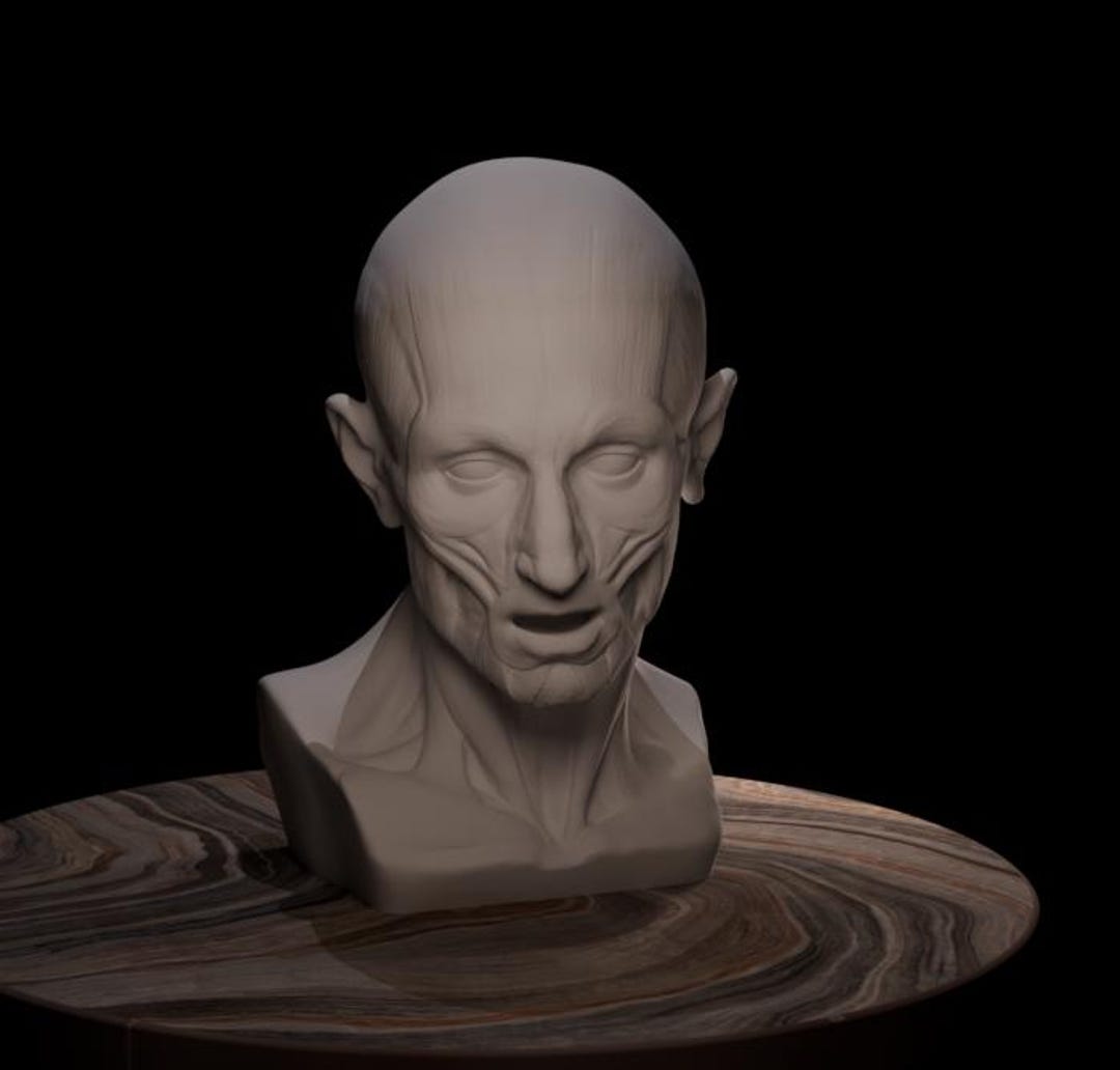 Bust of Ecorché, Human Face Anatomy, 3D Printed, Head Sculpture ...