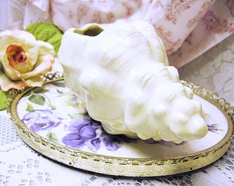 Conch sea shell | Etsy