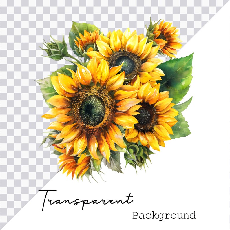 Watercolor Sunflower Clipart Bundle | 61 PNG Files | Digital Watercolor ...