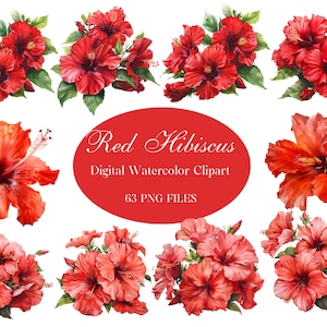 Red Hibiscus Watercolor Clipart Set - 63 PNG Files for Floral Designs ...
