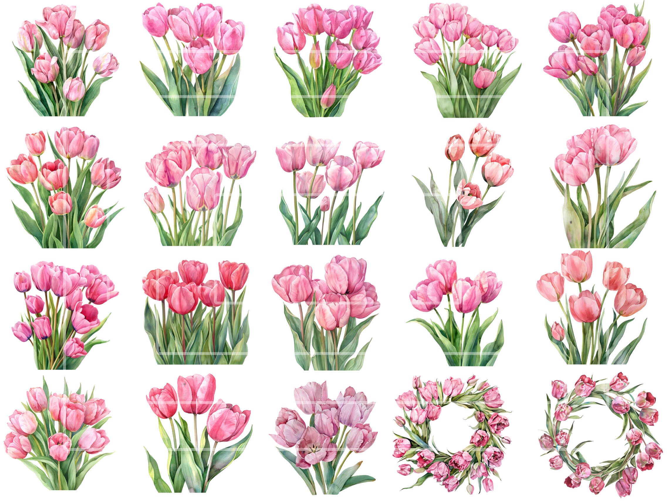 Pink Tulip Watercolor Clipart Set | 88 PNG Files | Floral Clipart for ...