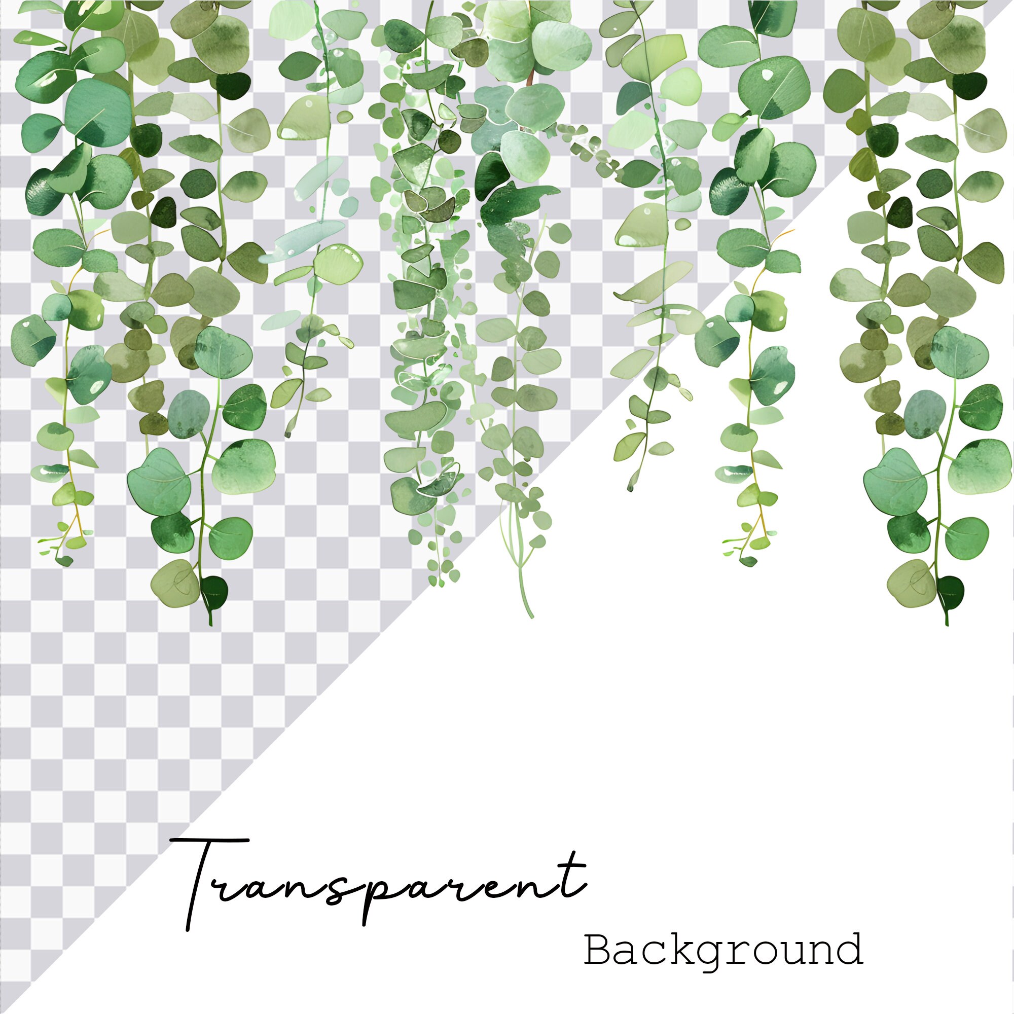 Watercolor Eucalyptus Clipart, Greenery Clipart, Watercolor Clipart ...