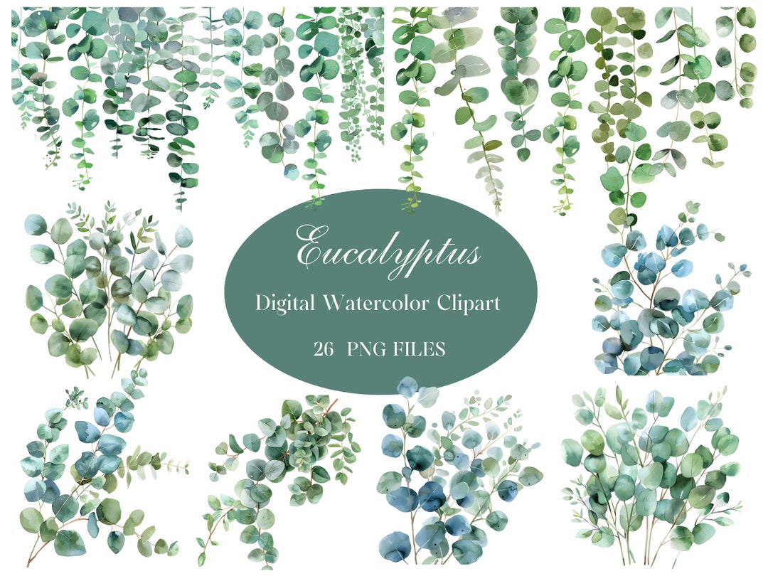 Watercolor Eucalyptus Clipart, Greenery Clipart, Watercolor Clipart ...