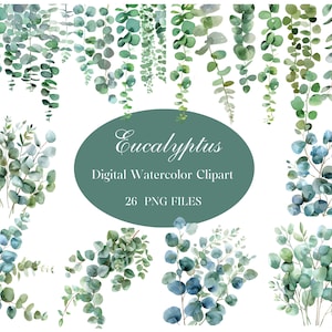 Watercolor Eucalyptus Clipart, Greenery Clipart, Watercolor Clipart ...