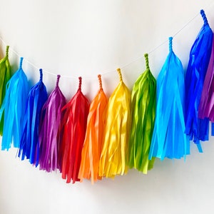 ROYGBIV Rainbow Tassel Garland - Party -nursery Decor - Photo Prop - Etsy
