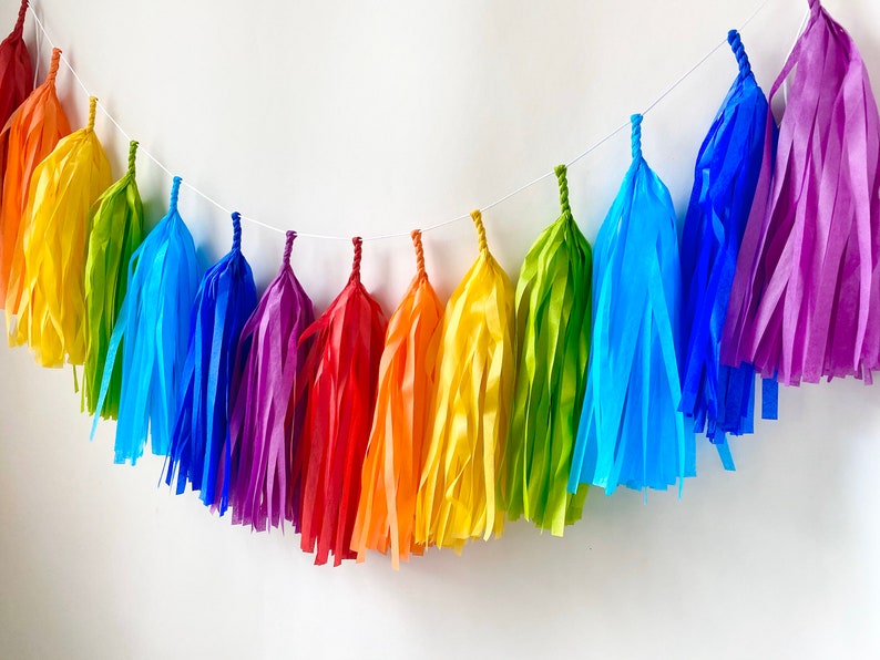 ROYGBIV Rainbow Tassel Garland - Party -nursery Decor - Photo Prop - Etsy