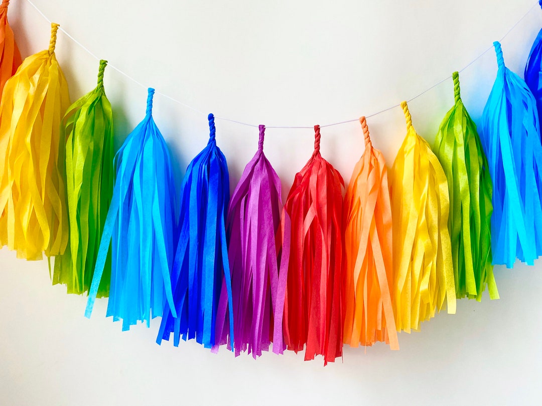 ROYGBIV Rainbow Tassel Garland - Party -nursery Decor - Photo Prop - Etsy