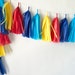 Carnival Tissue Tassel Garland Tissue Paper Banner Party Decor Carnival ...