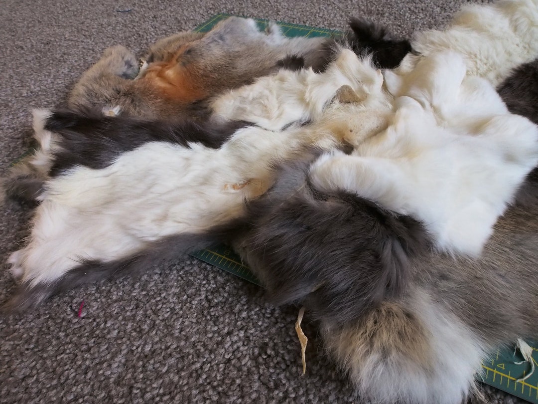 Fur Pieces Lot, Rabbit Pelt and Thrifted/recycled Fur Coat Remnants - Etsy
