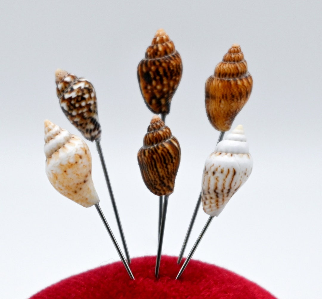 6 Genuine Shell Pins - Etsy