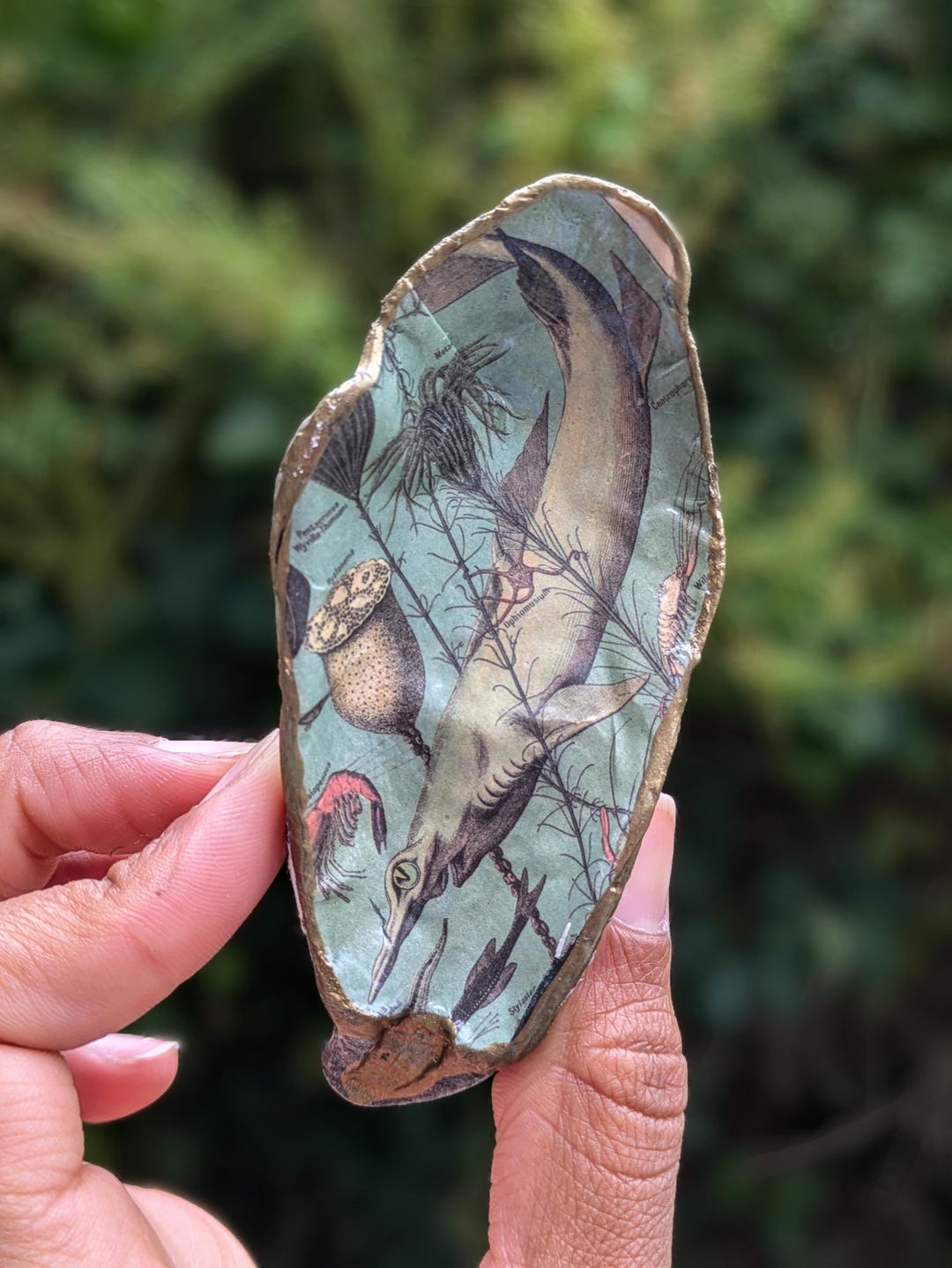 Custom Collaged Seashells - Etsy