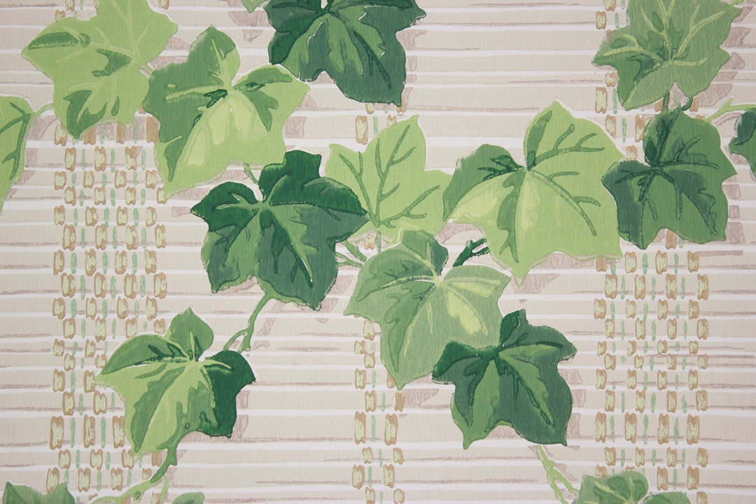 1940s Vintage Wallpaper Green Ivy on Bamboo by the Yard - Etsy
