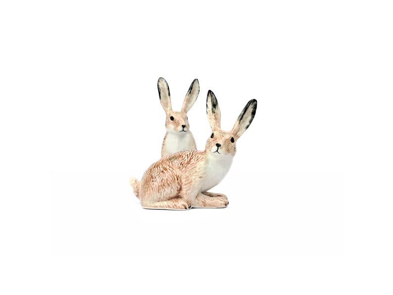 Hand-painted Hare Rabbit Ceramic Salt & Pepper Shaker Set - Rustic ...