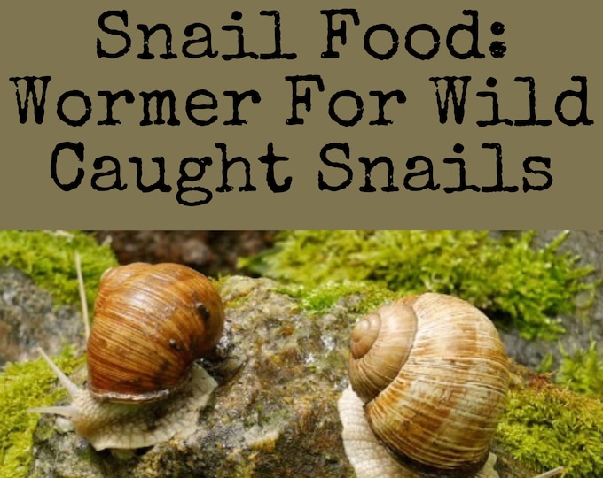 Wild Caught Wormer Snail Food - Protein Based Snail Food - Etsy