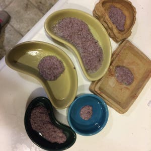 Sampler Pack #2 - Multiple Flavors of Snail Food - Protein Based Snail ...