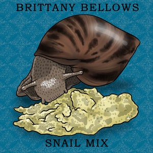Sampler Pack #1 - Multiple Flavors of Snail Food - Protein Based Snail ...