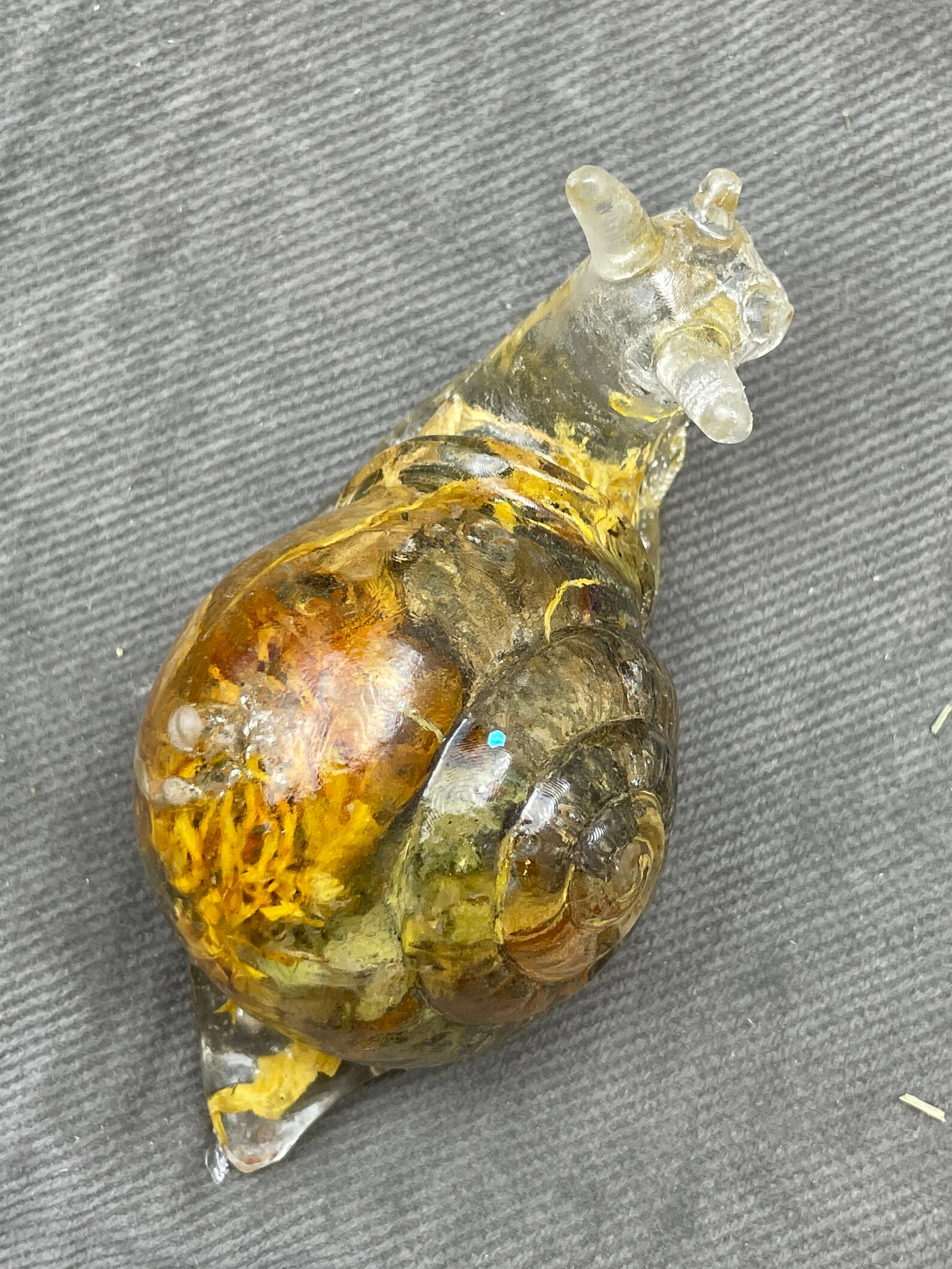 Large Resin Snail Figurine - Meadow - Etsy