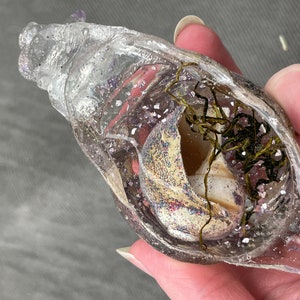 Large Resin Snail Figurine - Shell - Etsy