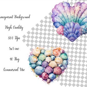 Watercolor Seashell Clipart Bundle Heart Shaped Seashells Collection ...