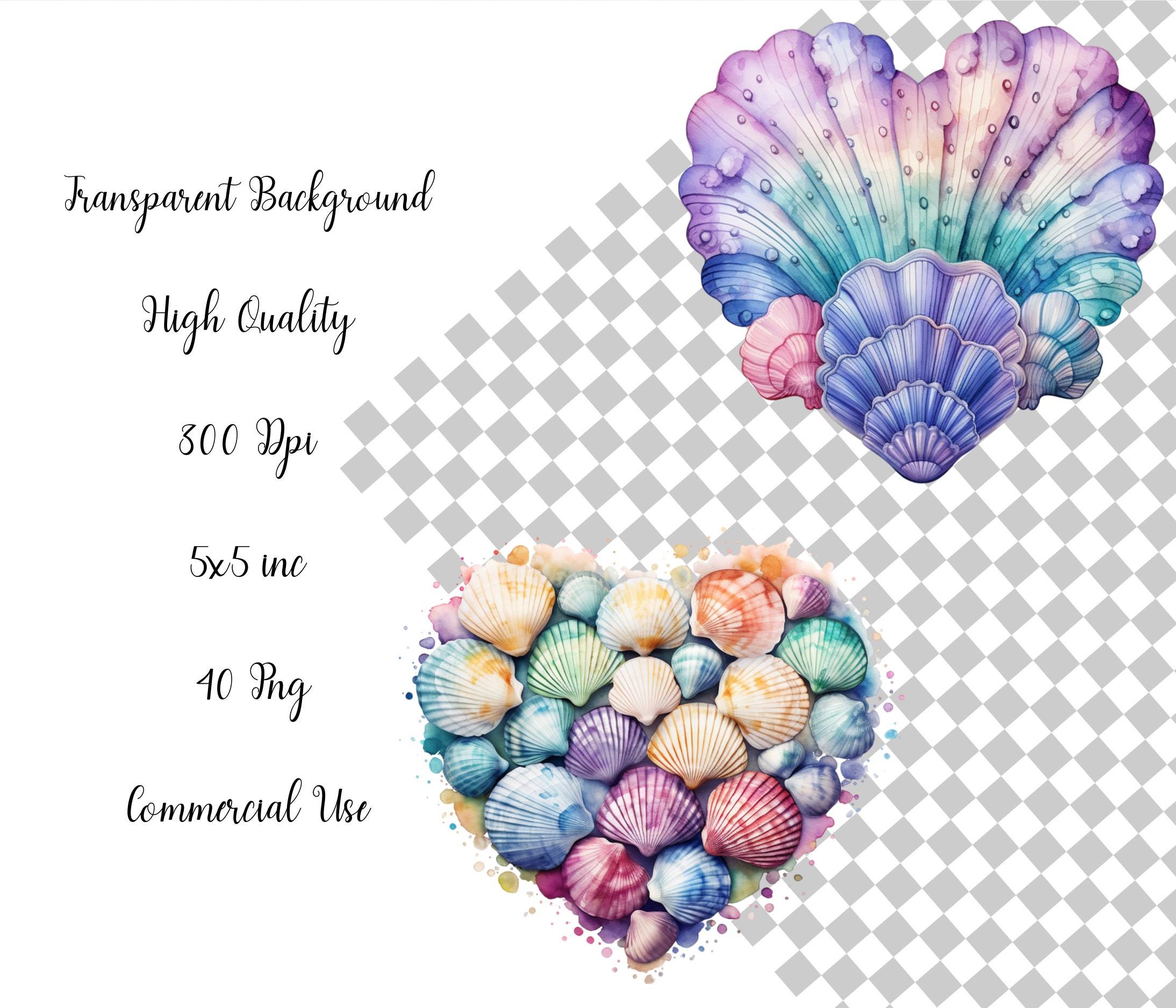 Watercolor Seashell Clipart Bundle Heart Shaped Seashells Collection ...