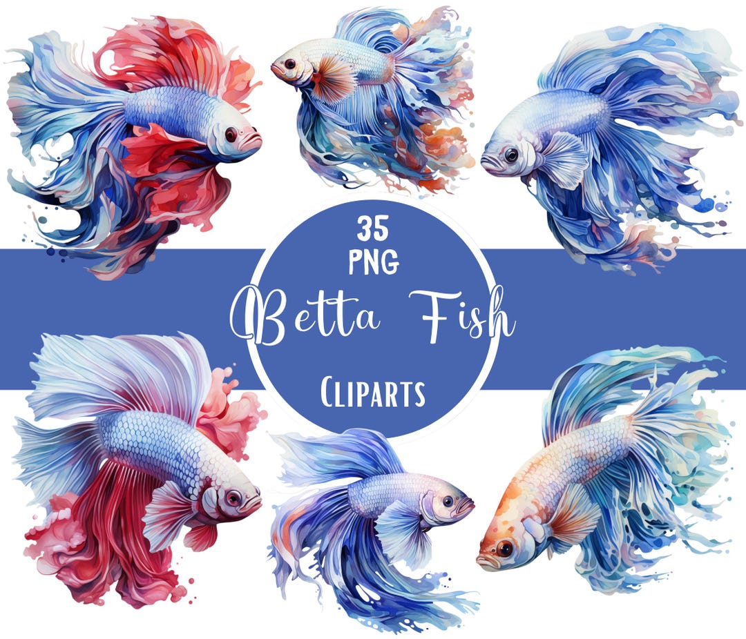 Watercolor Betta Fish Clipart Bundle: Exotic Aquarium PNG (digital ...