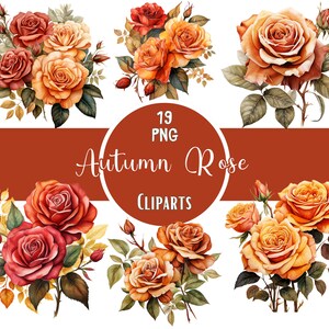 Watercolor Autumn Rose Clipart Bundle: Fall Flower PNG (digital ...