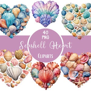 Watercolor Seashell Clipart Bundle Heart Shaped Seashells Collection ...