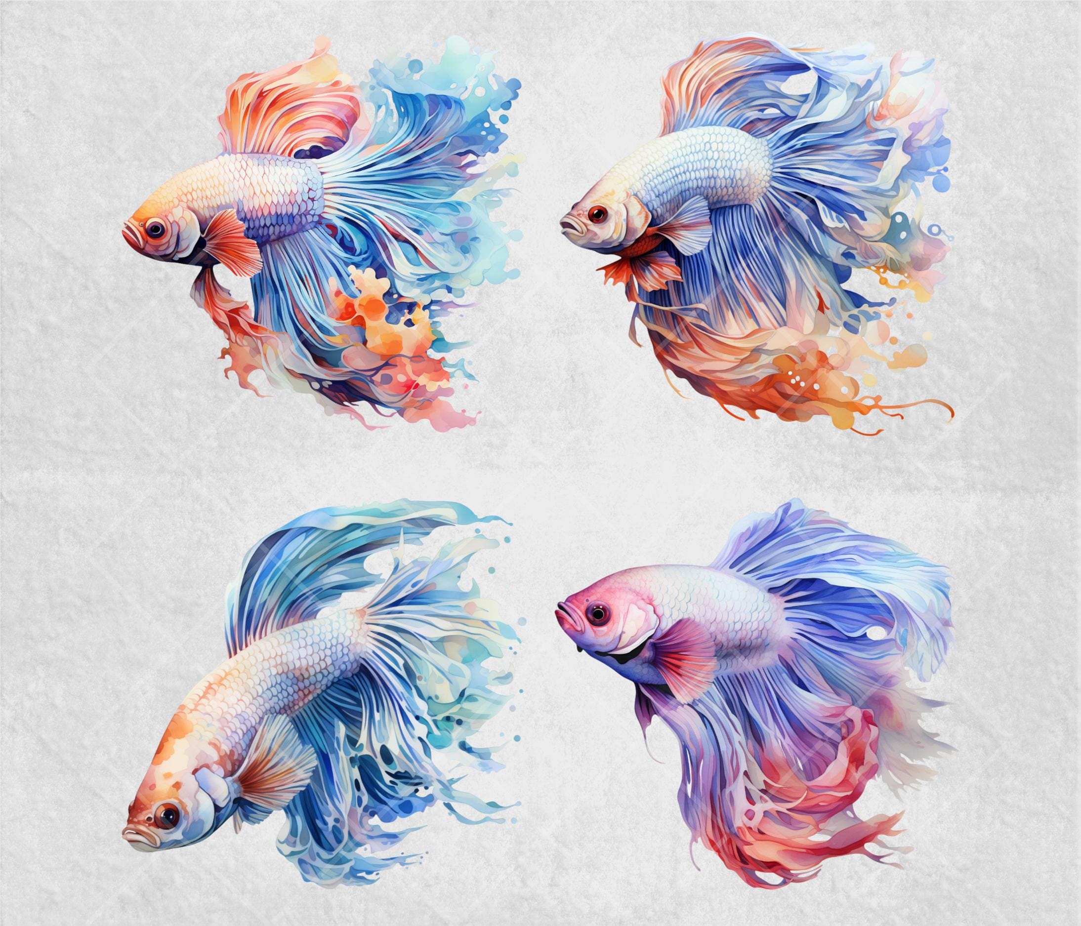 Watercolor Betta Fish Clipart Bundle: Exotic Aquarium PNG (digital ...