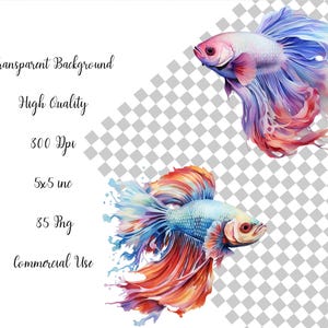 Watercolor Betta Fish Clipart Bundle Aquarium Fish Png Ocean Life ...