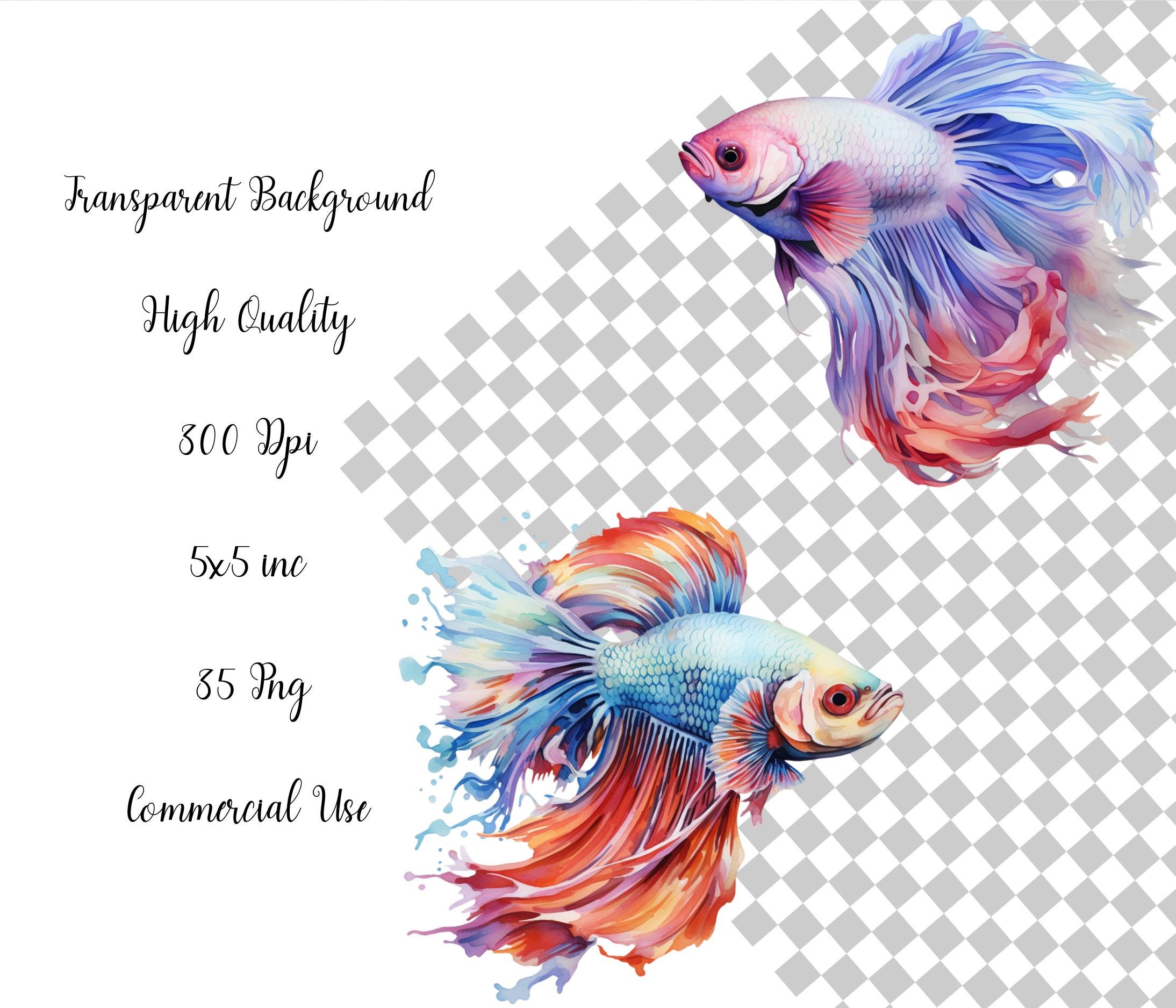 Watercolor Betta Fish Clipart Bundle: Exotic Aquarium PNG (digital ...