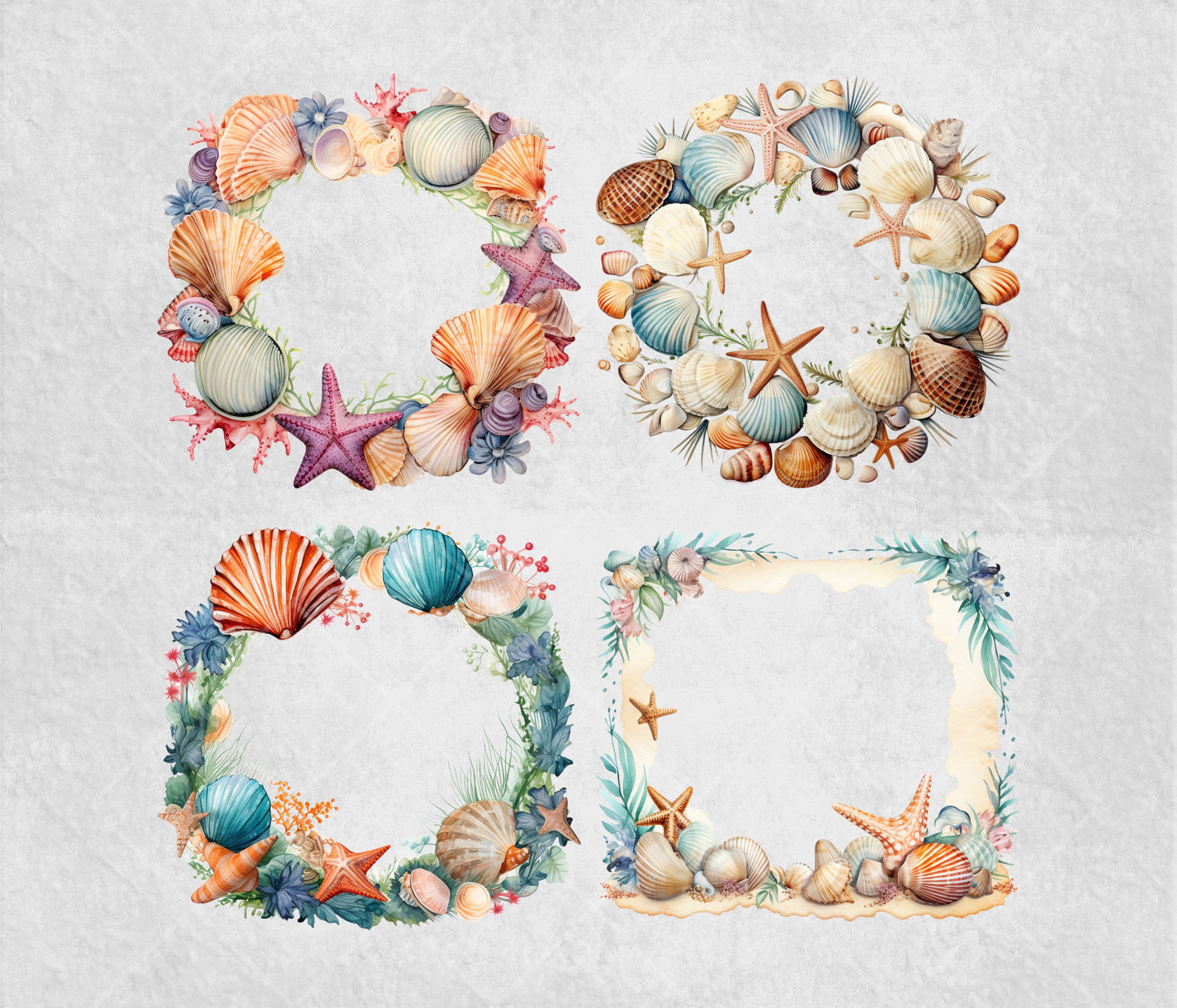 Seashells Watercolor Summer Frames Beach Crafts Digital Frames Png ...
