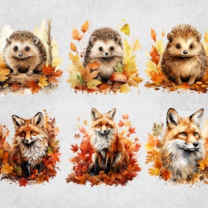 Watercolor Autumn Woodland Clipart Bundle Fall Animal Sublimation ...