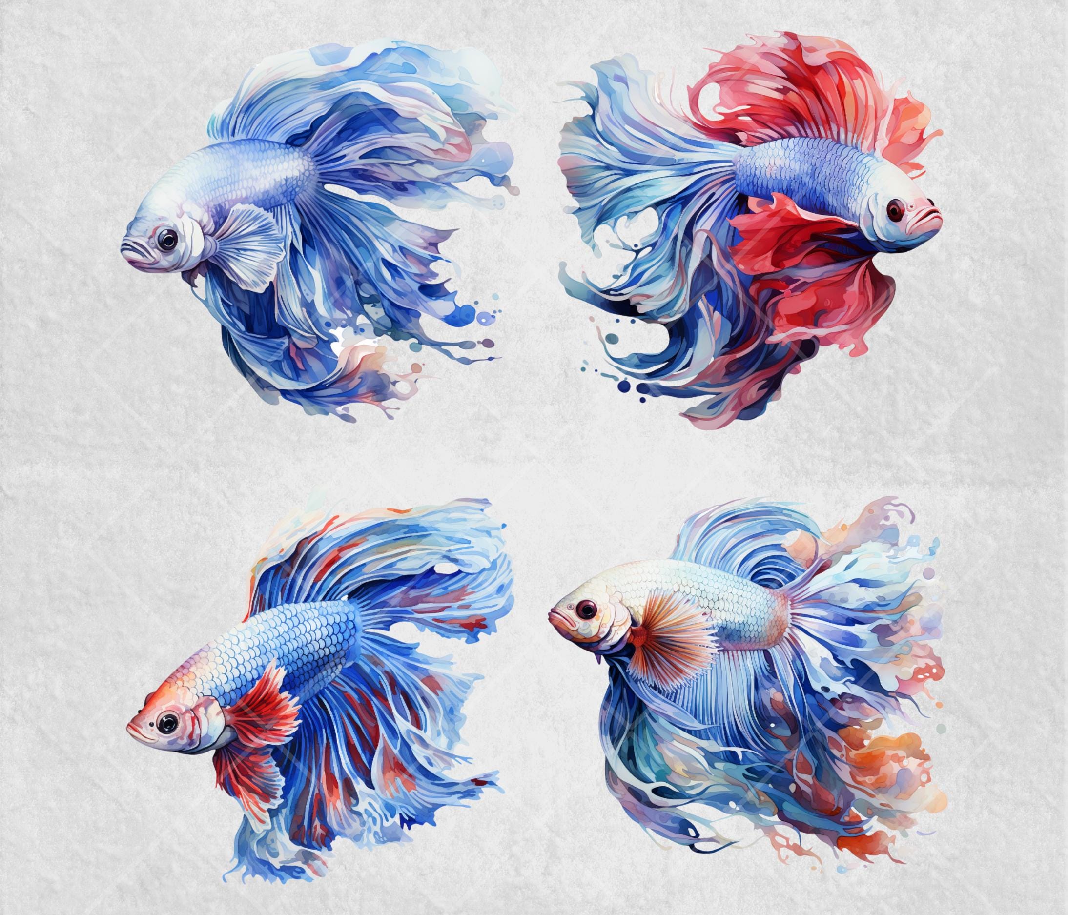 Watercolor Betta Fish Clipart Bundle: Exotic Aquarium PNG (digital ...