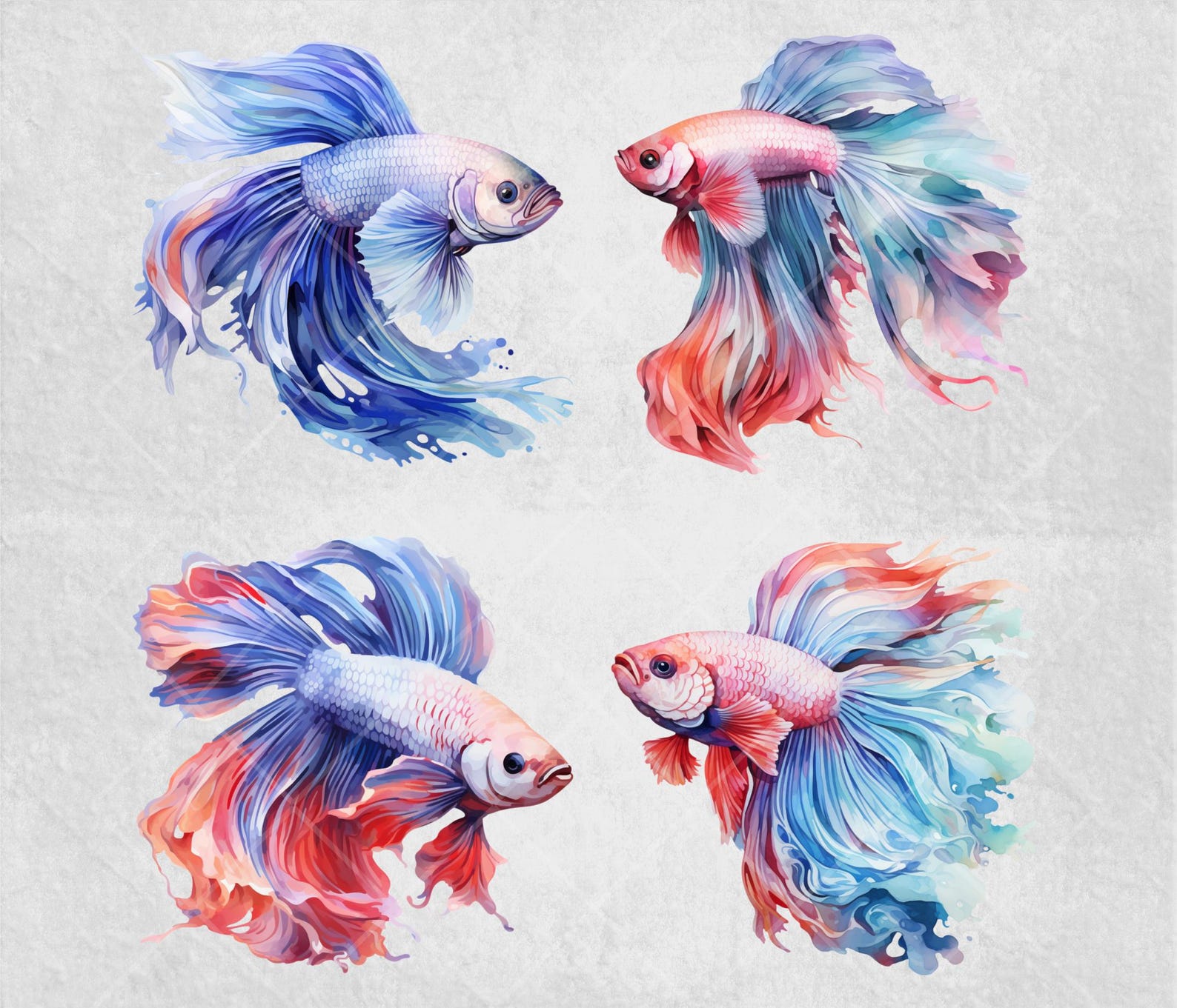 Watercolor Betta Fish Clipart Bundle: Exotic Aquarium PNG (digital ...